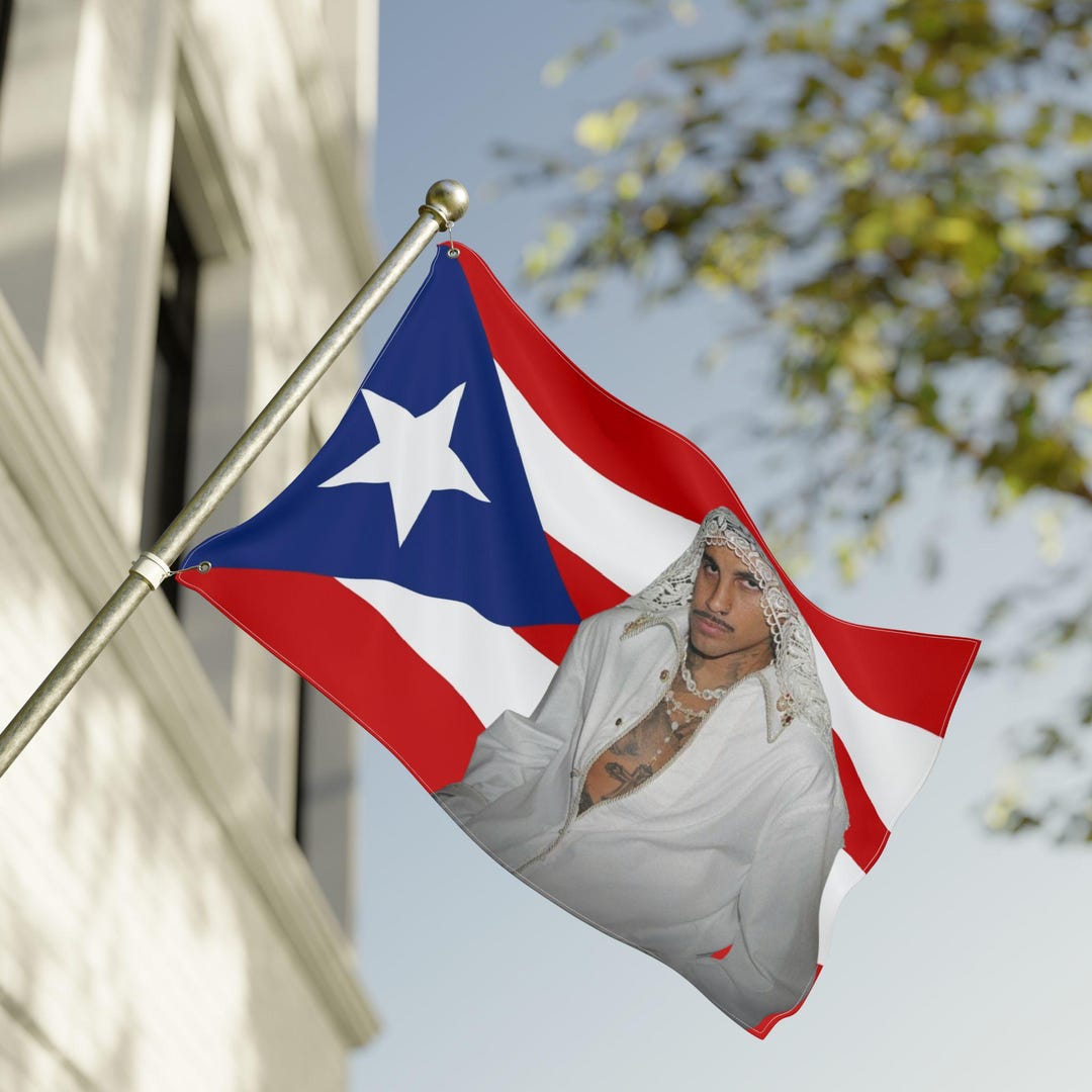 Rauw Alejandro Puerto Rican Pride Flag, Wall Decor, Home Decor, Music ...