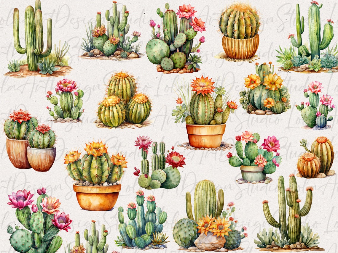 Watercolor Cactus Clipart, Cacti With Flowers, Transparent Background ...