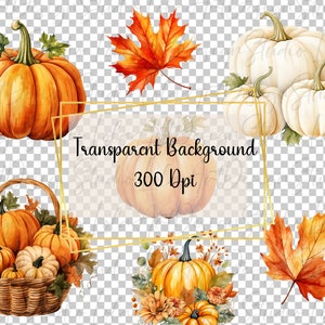 Watercolor Fall Pumpkins Clipart, Thanksgiving Pumpkins PNG Files With ...