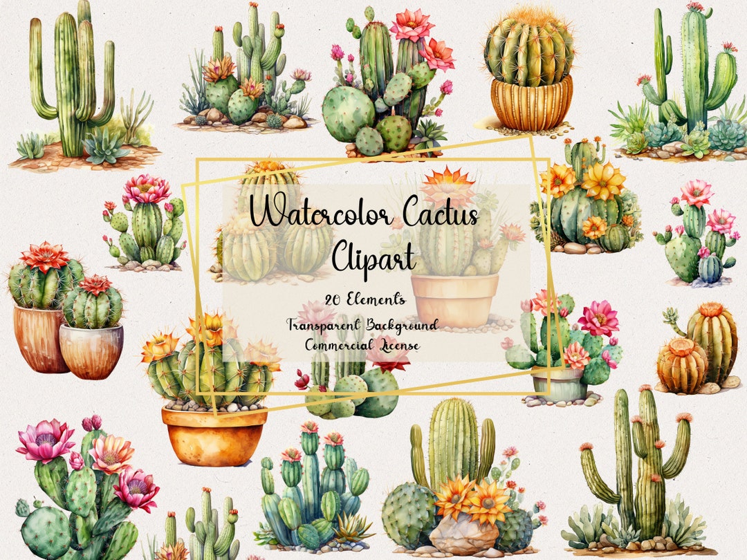 Watercolor Cactus Clipart, Cacti With Flowers, Transparent Background ...