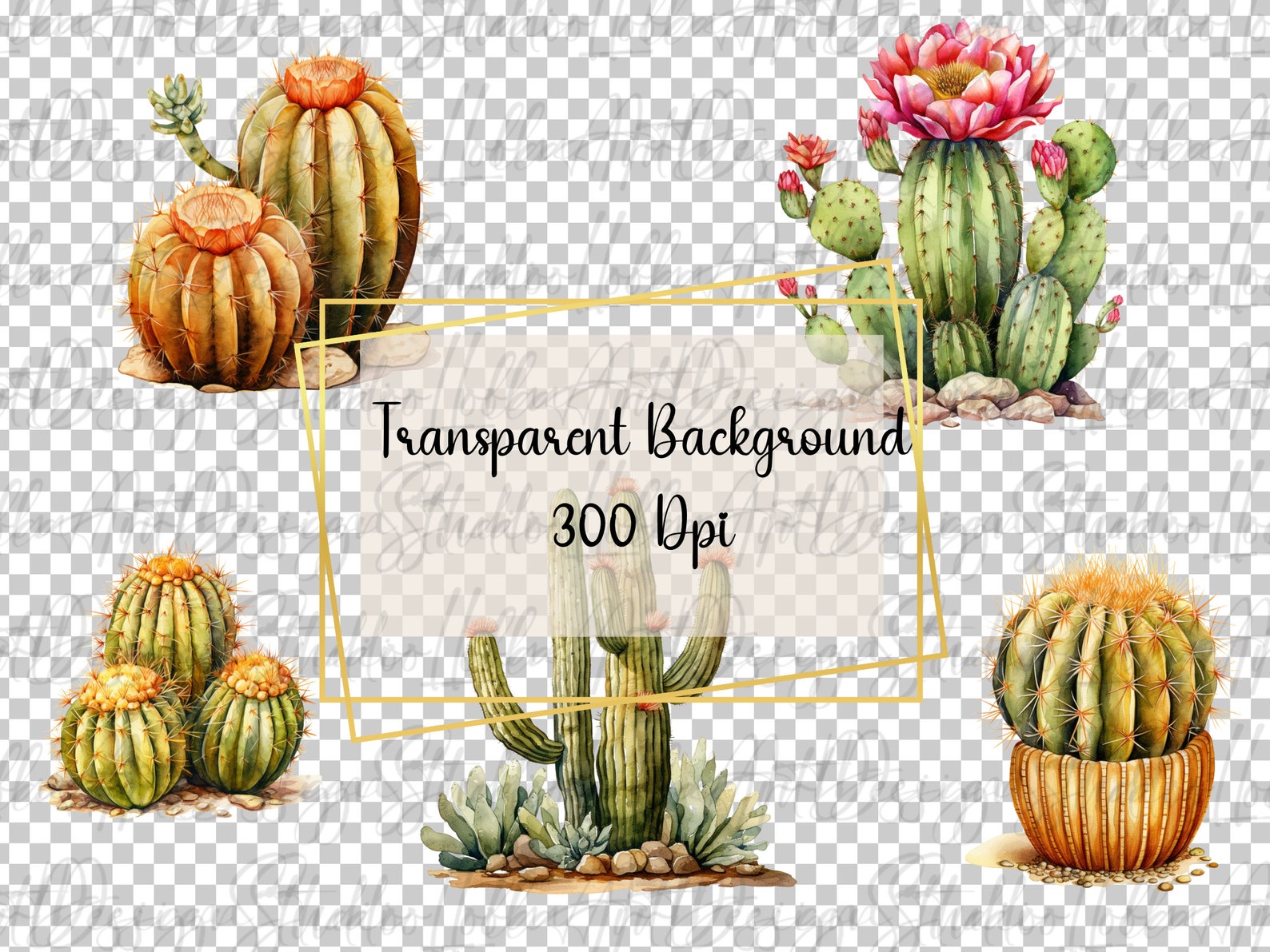 Watercolor Cactus Clipart, Cacti With Flowers, Transparent Background ...