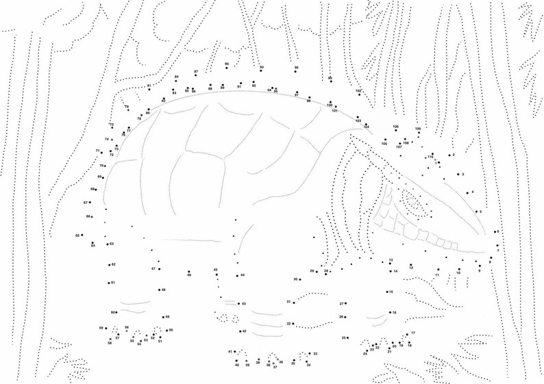 Connect the Dots Dinosaurs, Color and Connect, No Numbers Connect ...