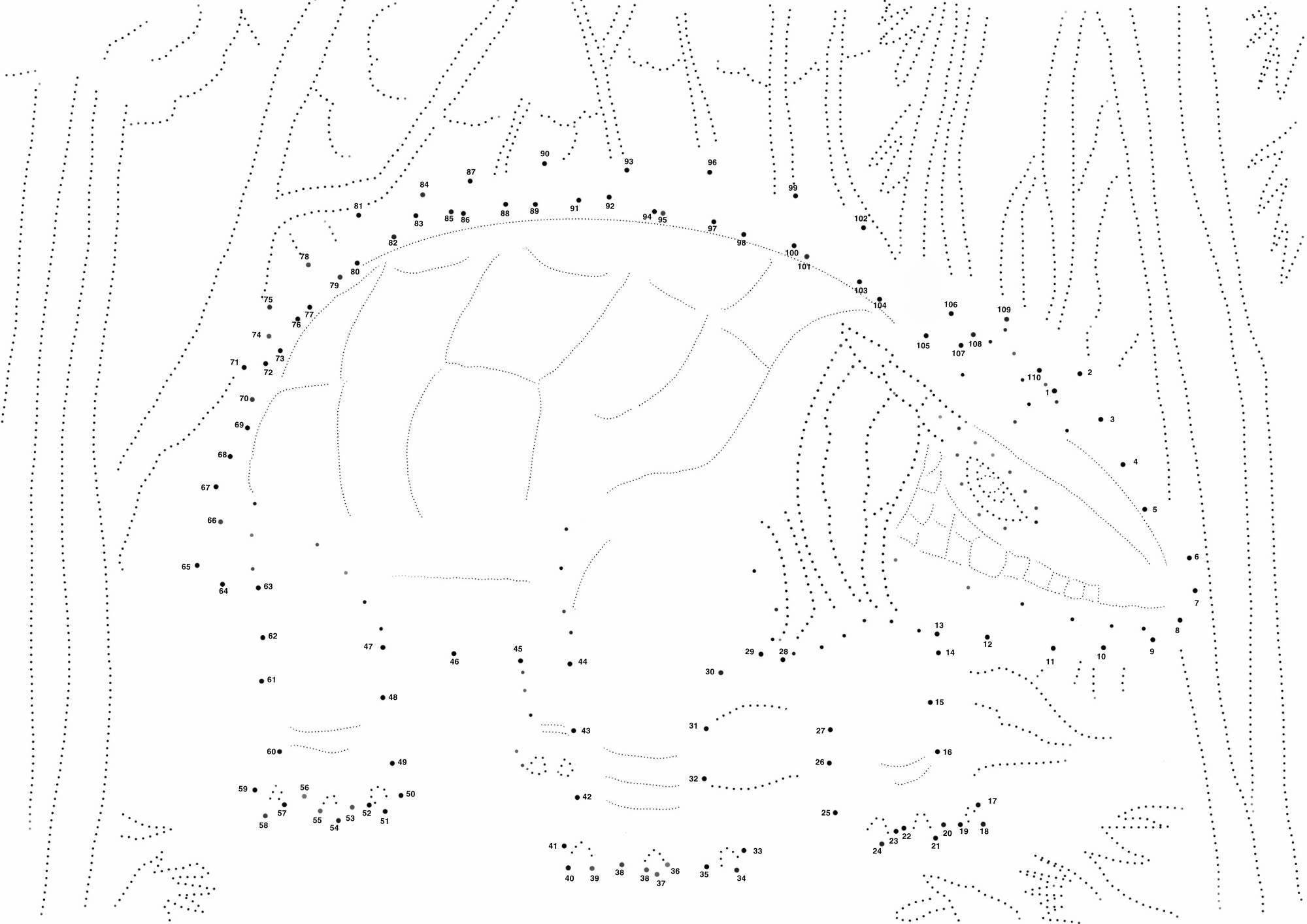Connect the Dots Dinosaurs, Color and Connect, No Numbers Connect ...