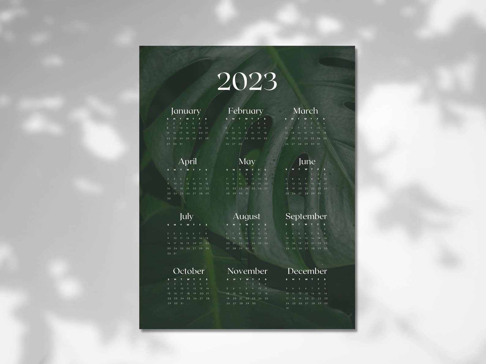 2023 Monstera Leaf Wall Calendar, Year at a Glance, 9x12 JPG, Printable ...