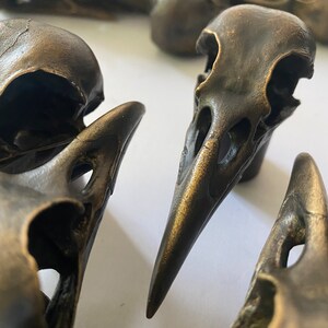 Hand Made Solid Bronze Crow Skull Gear Shifter Knob - Etsy
