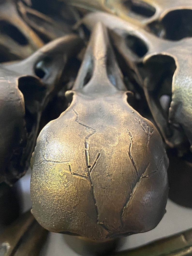 Hand Made Solid Bronze Crow Skull Gear Shifter Knob - Etsy