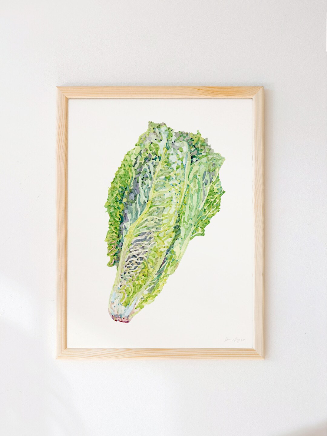 Hand Painted Cabbage Print: Modern Watercolour Food Illustration - Etsy