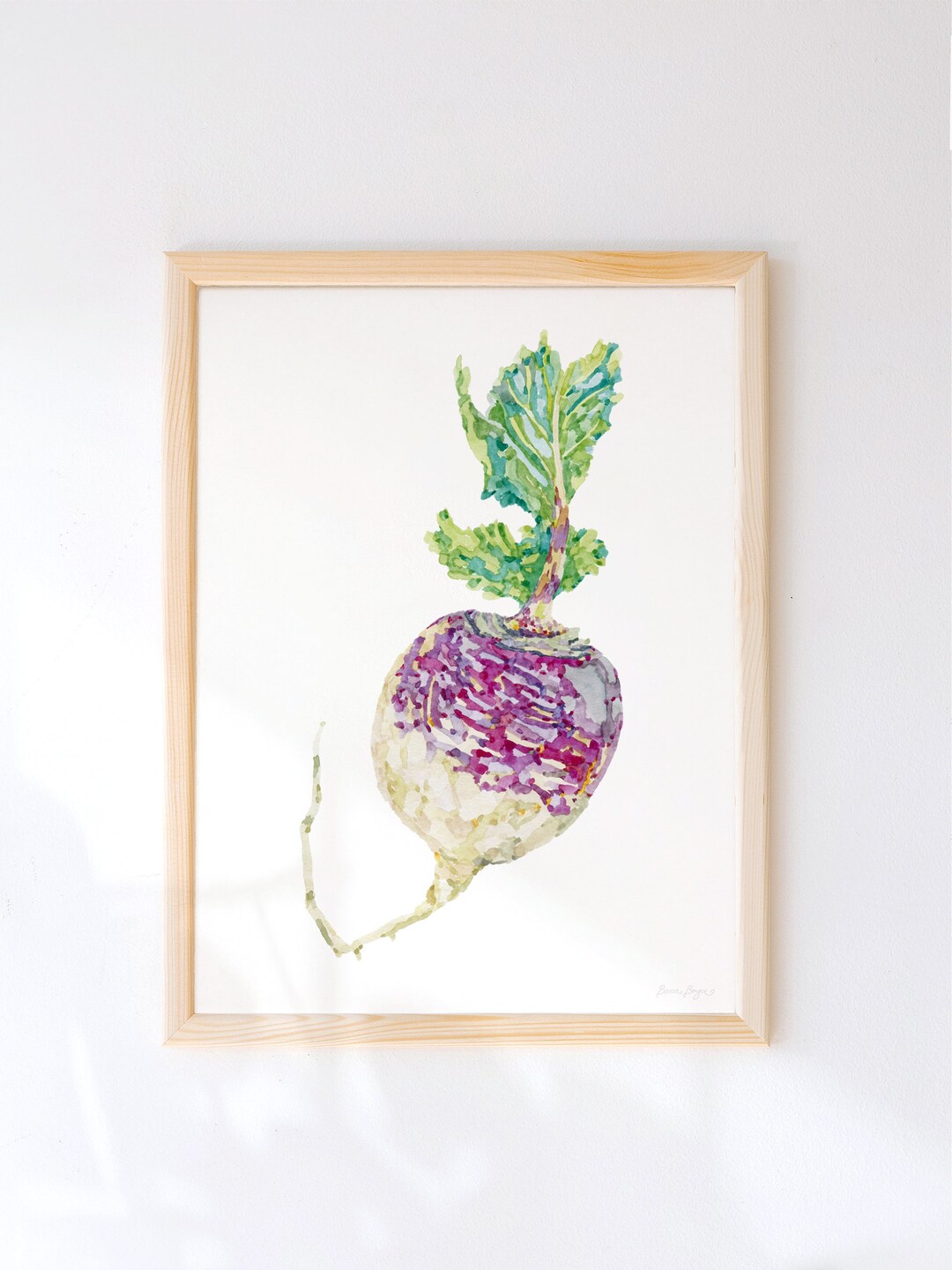 Hand Painted Turnip Art Print - Modern Watercolour Food Illustration ...