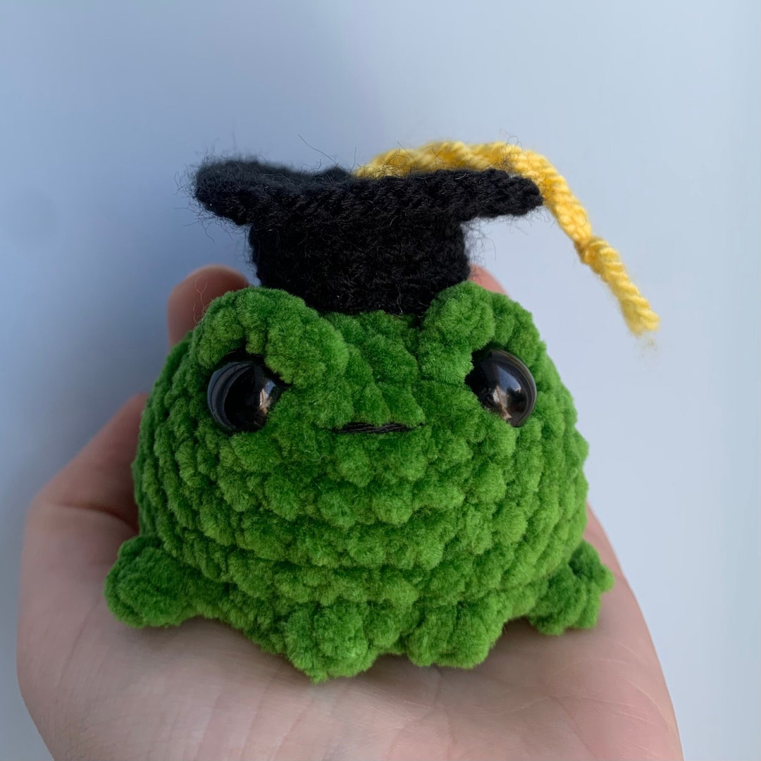 Graduation Frog Crochet Plush, Graduation Gift, Frog Gift, School ...