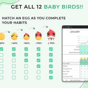 Bird Habit Tracker Spreadsheet, Google Sheets Template, Monthly, Weekly ...