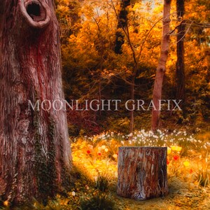 Autumn Digital Backgrounds-backdrops Bundle - Etsy