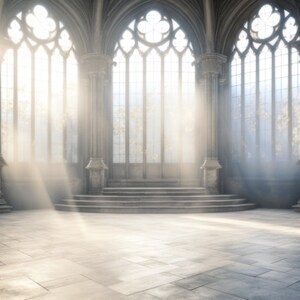 Castle Interiors V1 Backdrop Bundle V1 Digital Backgrounds-backdrops ...