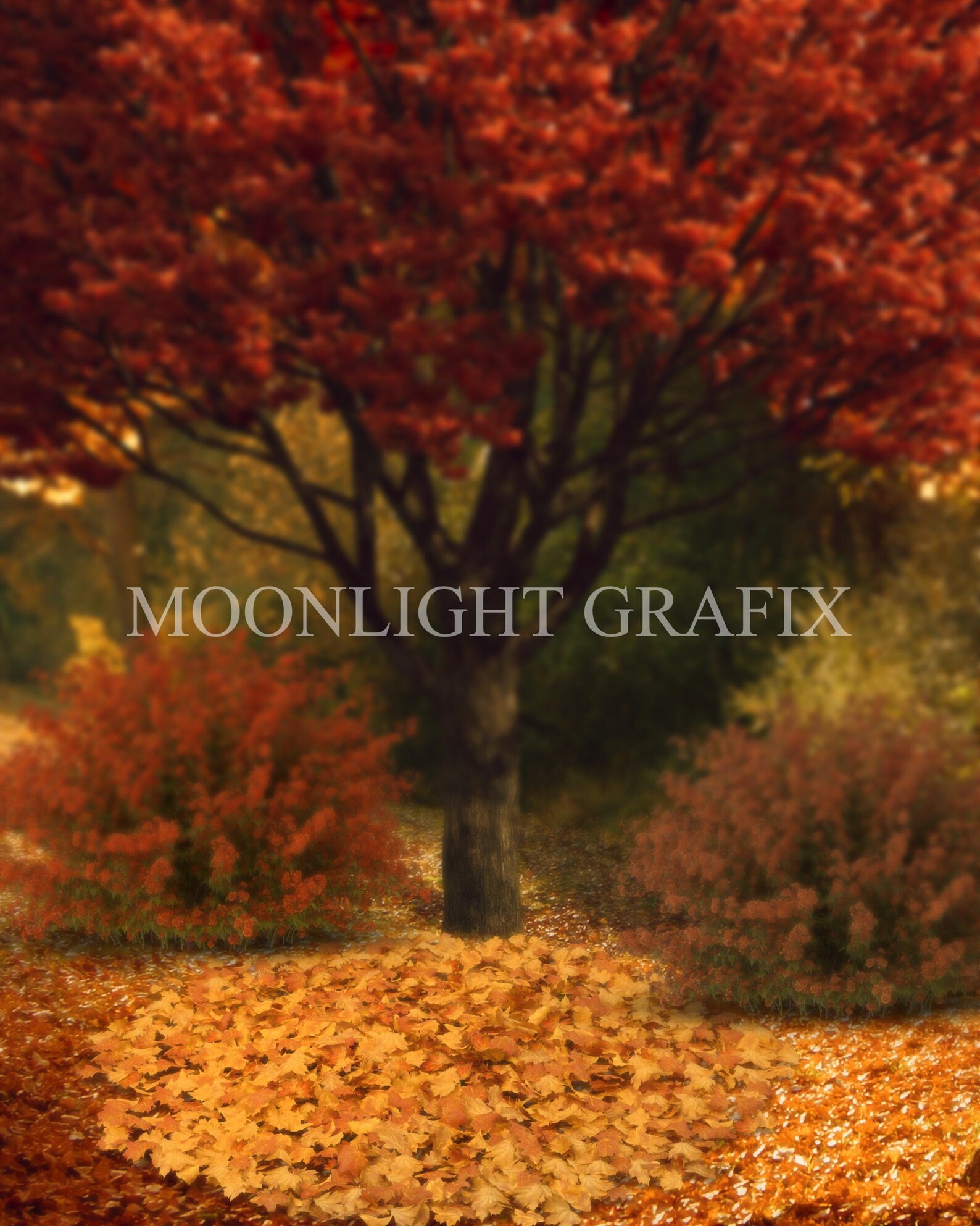 Autumn Digital Backgrounds-backdrops Bundle - Etsy