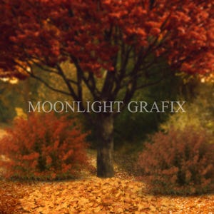 Autumn Digital Backgrounds-backdrops Bundle - Etsy