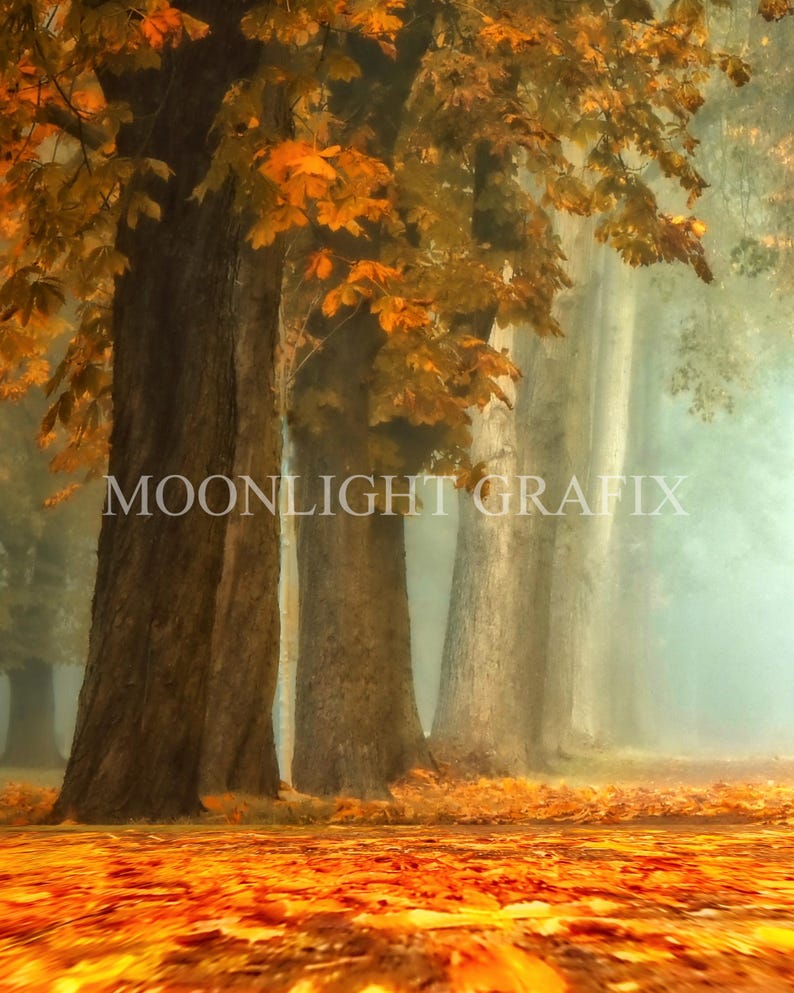 Autumn Digital Backgrounds-backdrops Bundle - Etsy