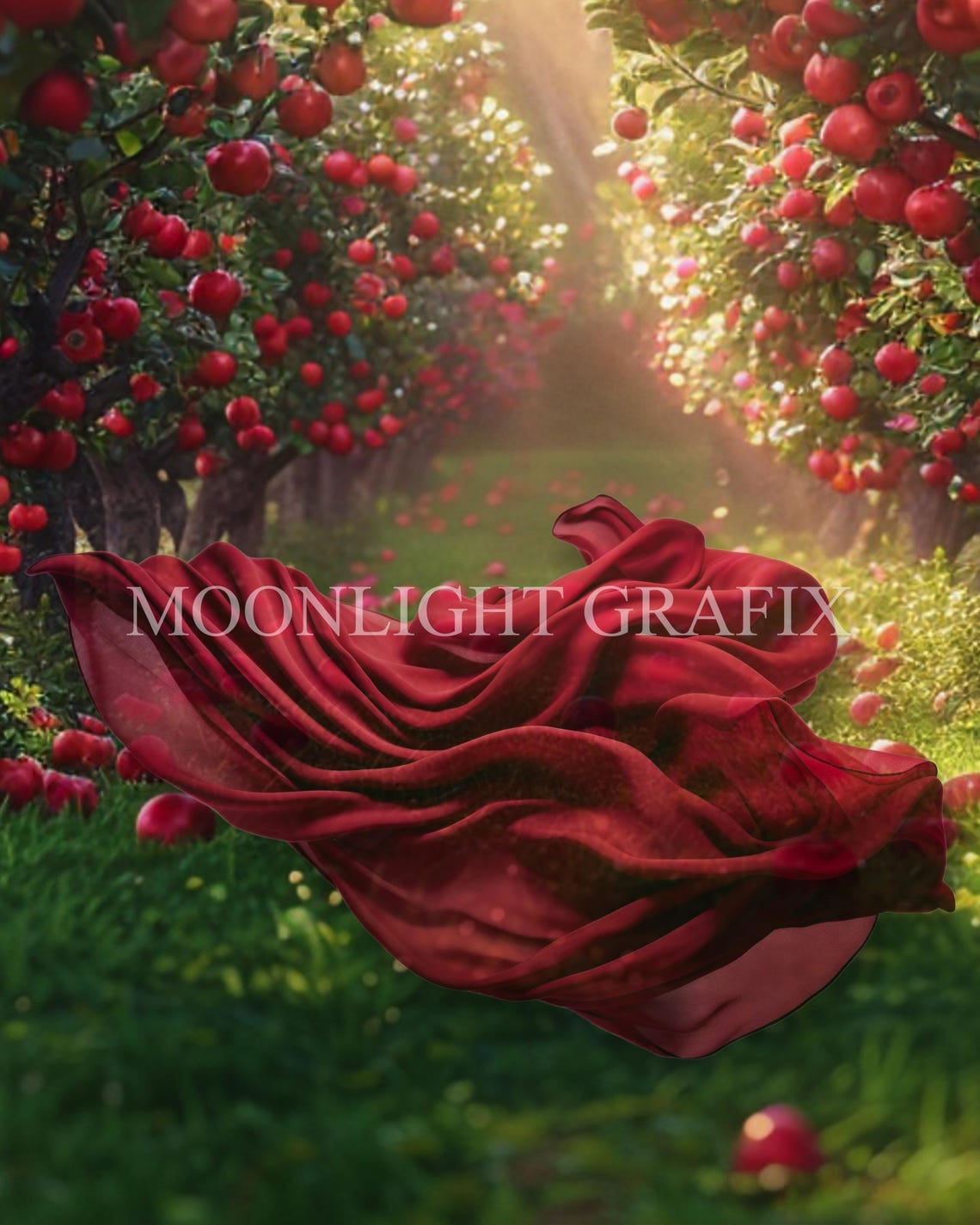 Apple Orchard Digital Backgrounds-backdrops Bundle - Etsy