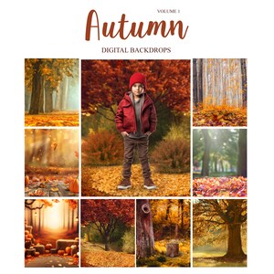 Autumn Digital Backgrounds-backdrops Bundle - Etsy