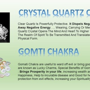 Gomati Chakra Pyramid With Rudraksha Shree Yantra Kauri and Ratti for ...