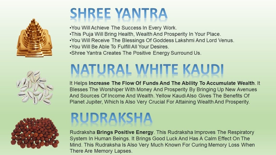 Gomati Chakra Pyramid With Rudraksha Shree Yantra Kauri and Ratti for ...