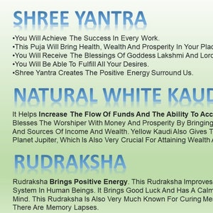 Gomati Chakra Pyramid With Rudraksha Shree Yantra Kauri and Ratti for ...