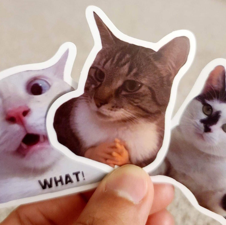 Funny Cat Meme Stickers: Waterproof Vinyl Decals for Laptop, Hydroflask ...