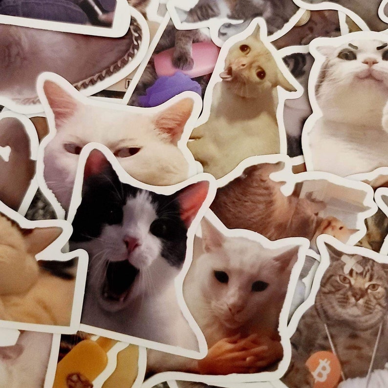 Funny Cat Meme Stickers: Waterproof Vinyl Decals for Laptop, Hydroflask ...