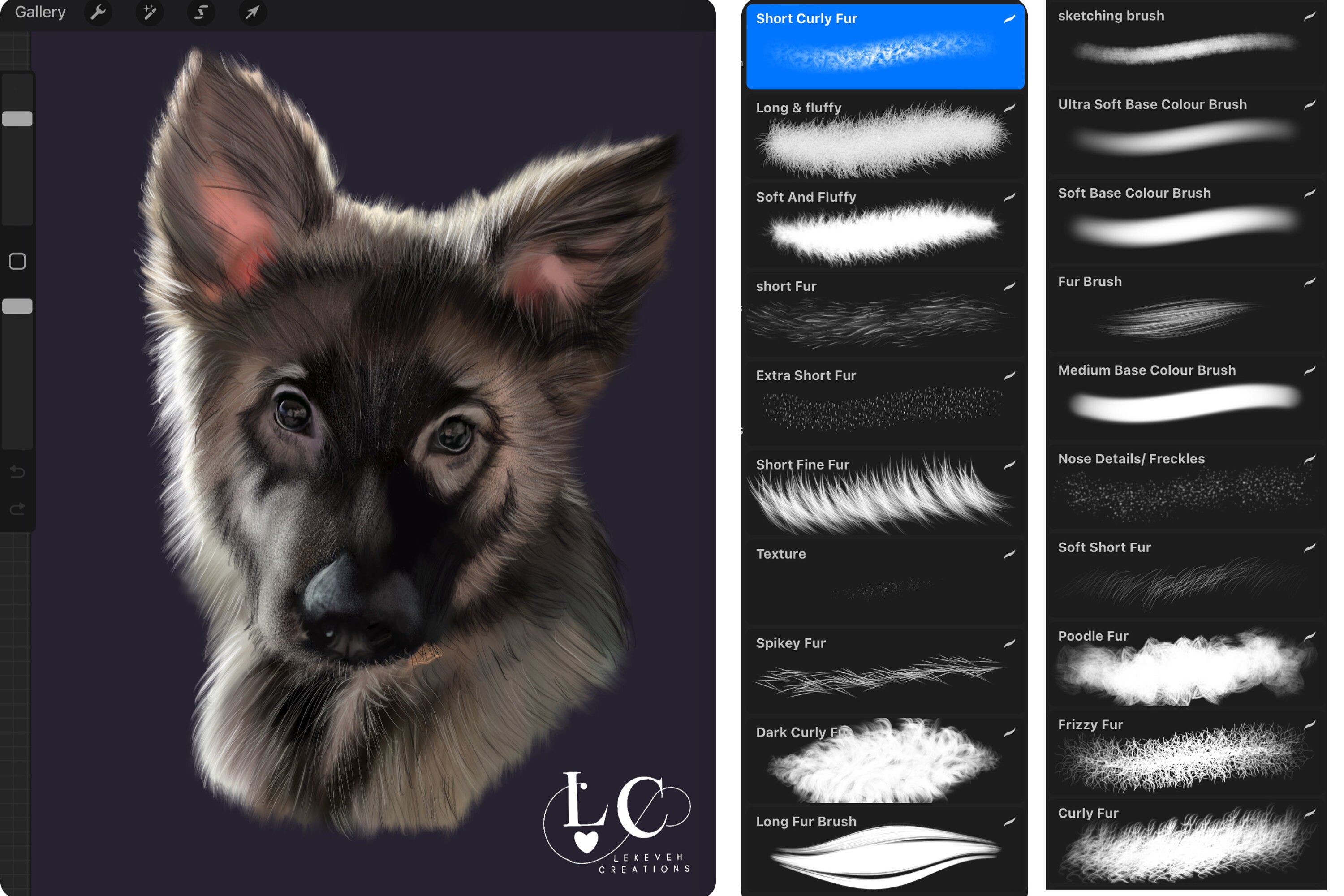 52 Fur Brushes for Procreate - Etsy UK