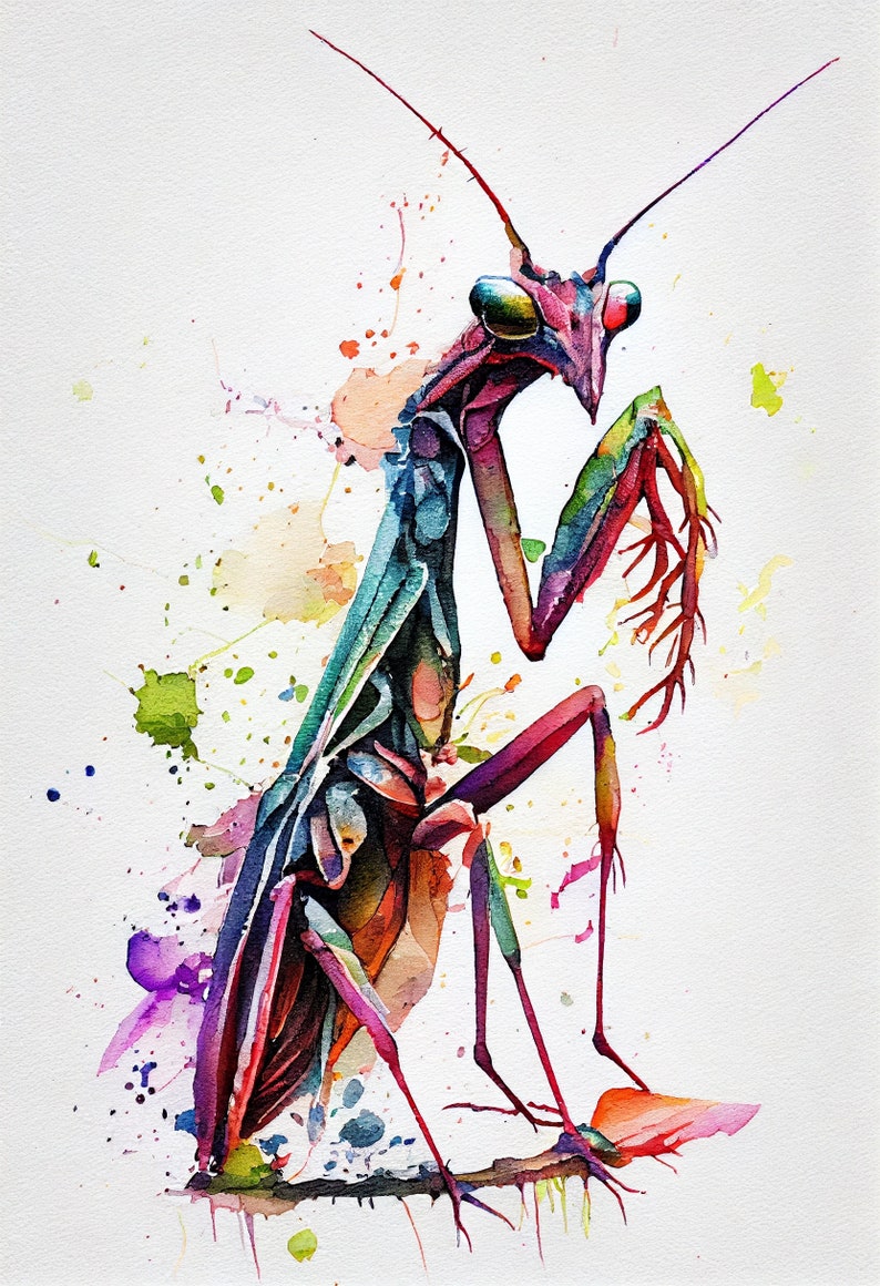 Watercolor Praying Mantis PNG Clipart: 5 Image Bundle (digital Download ...