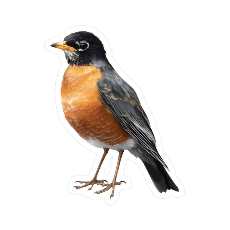 American Robin Bird Vinyl Decal: Nature Lover Gift - Etsy