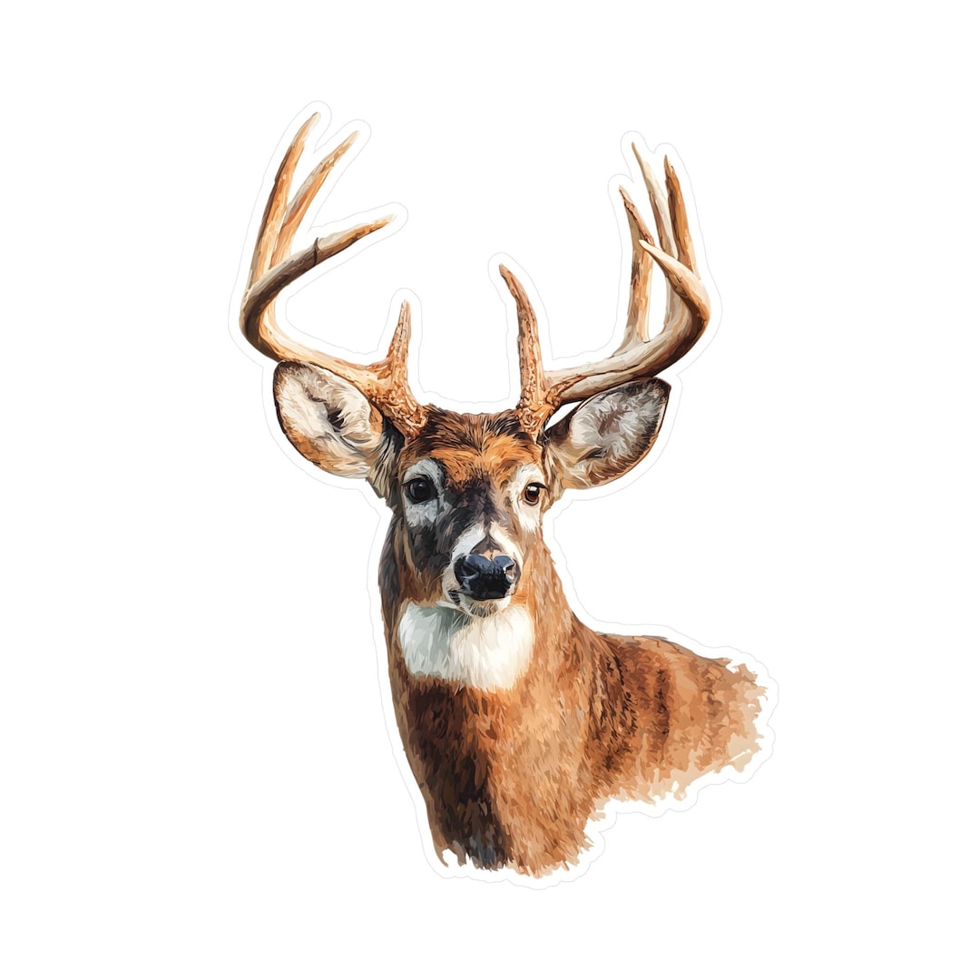 White Tailed Deer Buck Vinyl Decal: Wildlife Car, Laptop, Window ...