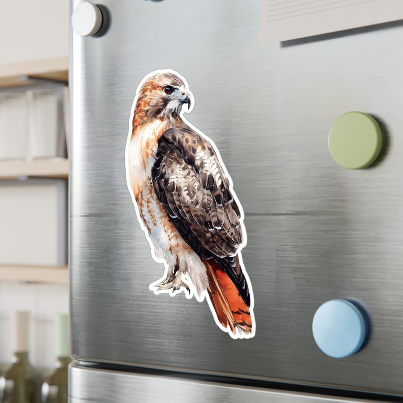 Red Tailed Hawk Decal, Nature Wildlife Sticker - Etsy