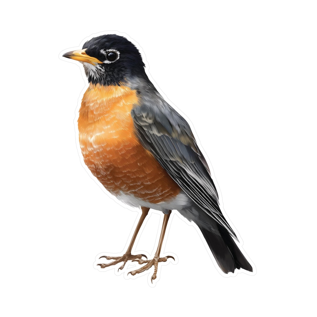American Robin Bird Vinyl Decal: Nature Lover Gift - Etsy