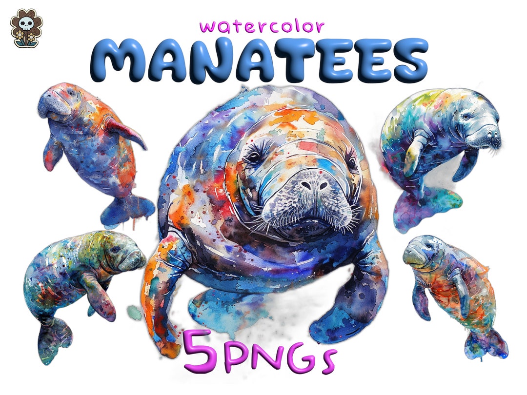 Watercolor Manatee Portraits: 5 Cute Manatee PNG Images - Printable ...