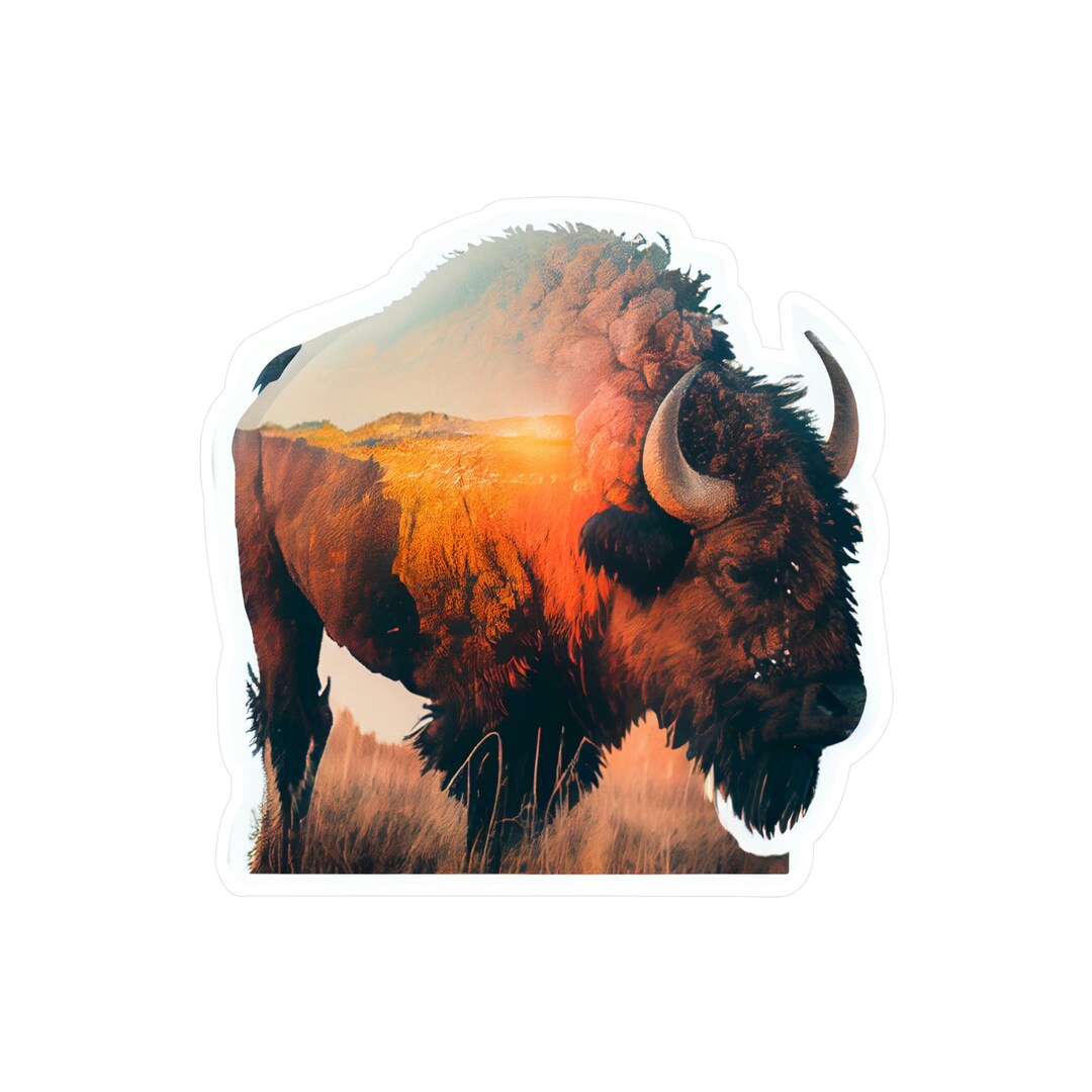 Wyoming Buffalo Vinyl Sticker: Nature Lover Decal - Etsy