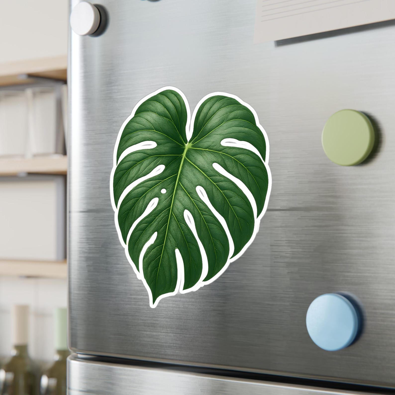 Monstera Plant Decal: Tropical Vinyl Sticker for Laptop, Water Bottle ...