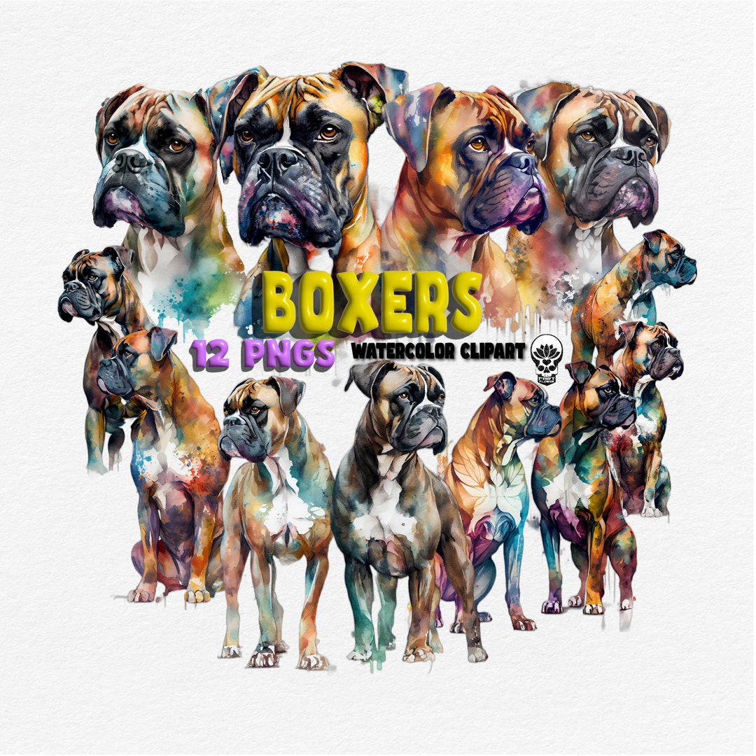 Boxer Dog Portraits Pack: 12 Boxer Dog PNG Images - Printable Wall Art ...