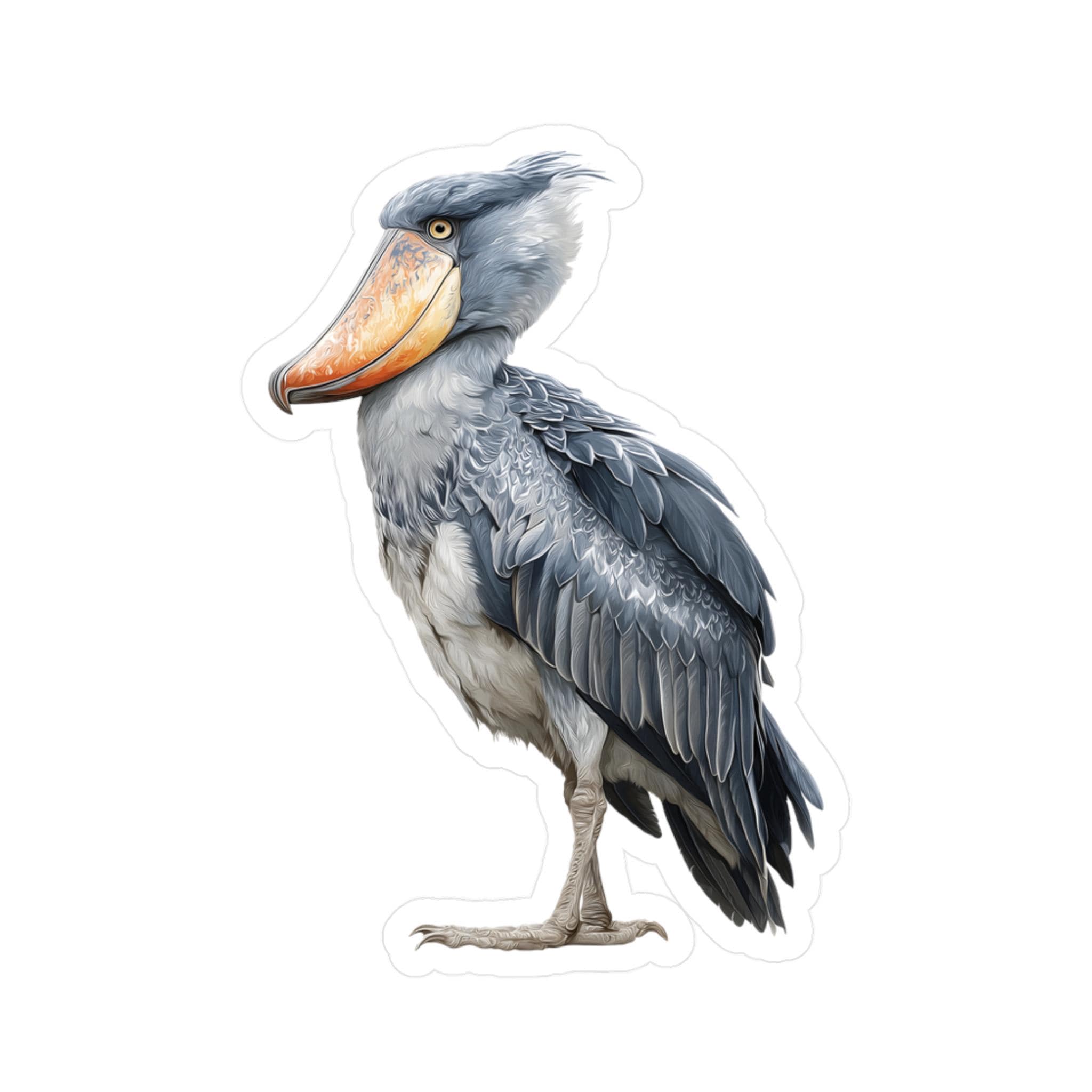 Shoebill Bird Vinyl Decal, Water Bottle or Laptop Sticker - Etsy