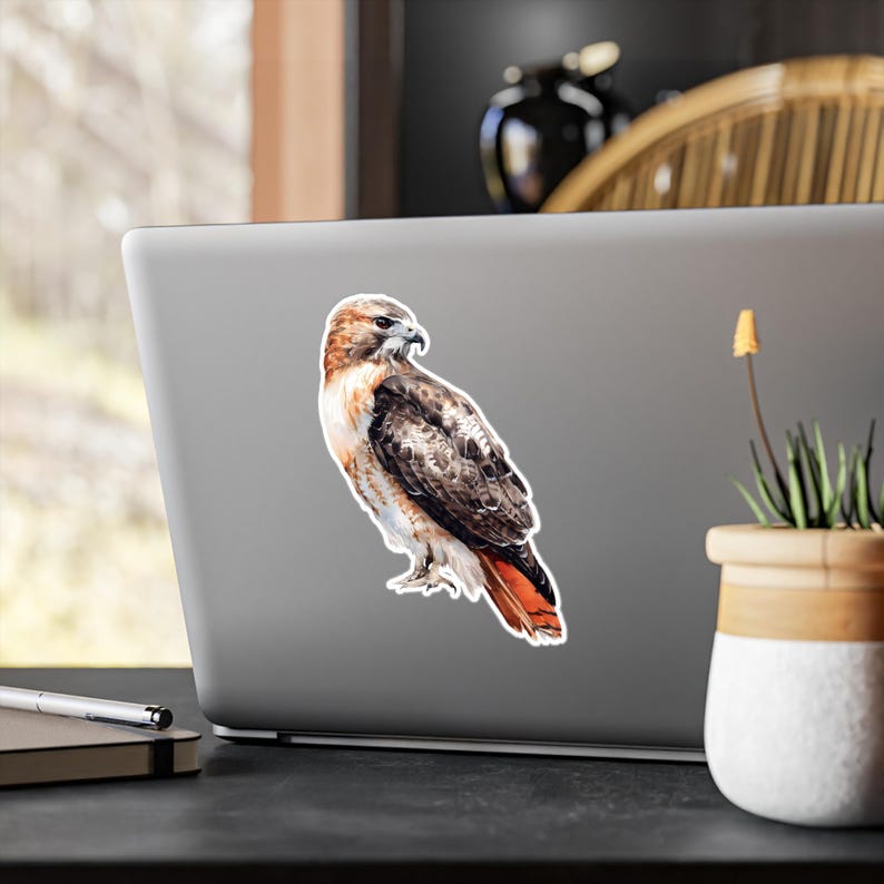 Red Tailed Hawk Decal, Nature Wildlife Sticker - Etsy