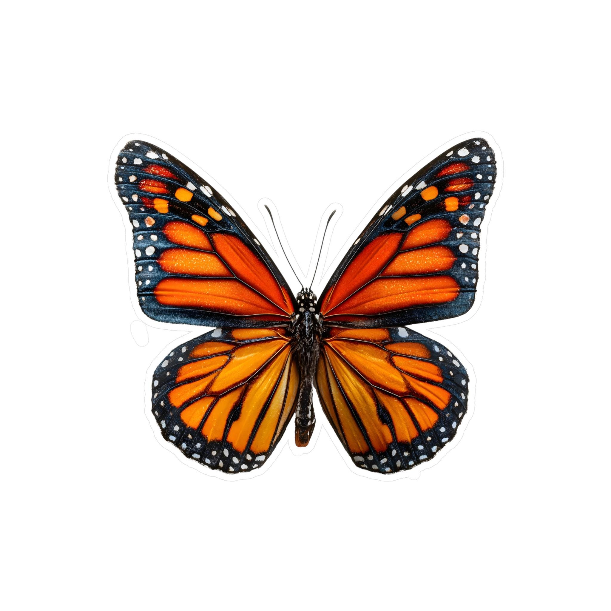 Monarch Butterfly Vinyl Decal, Water Resistant Nature Sticker - Etsy
