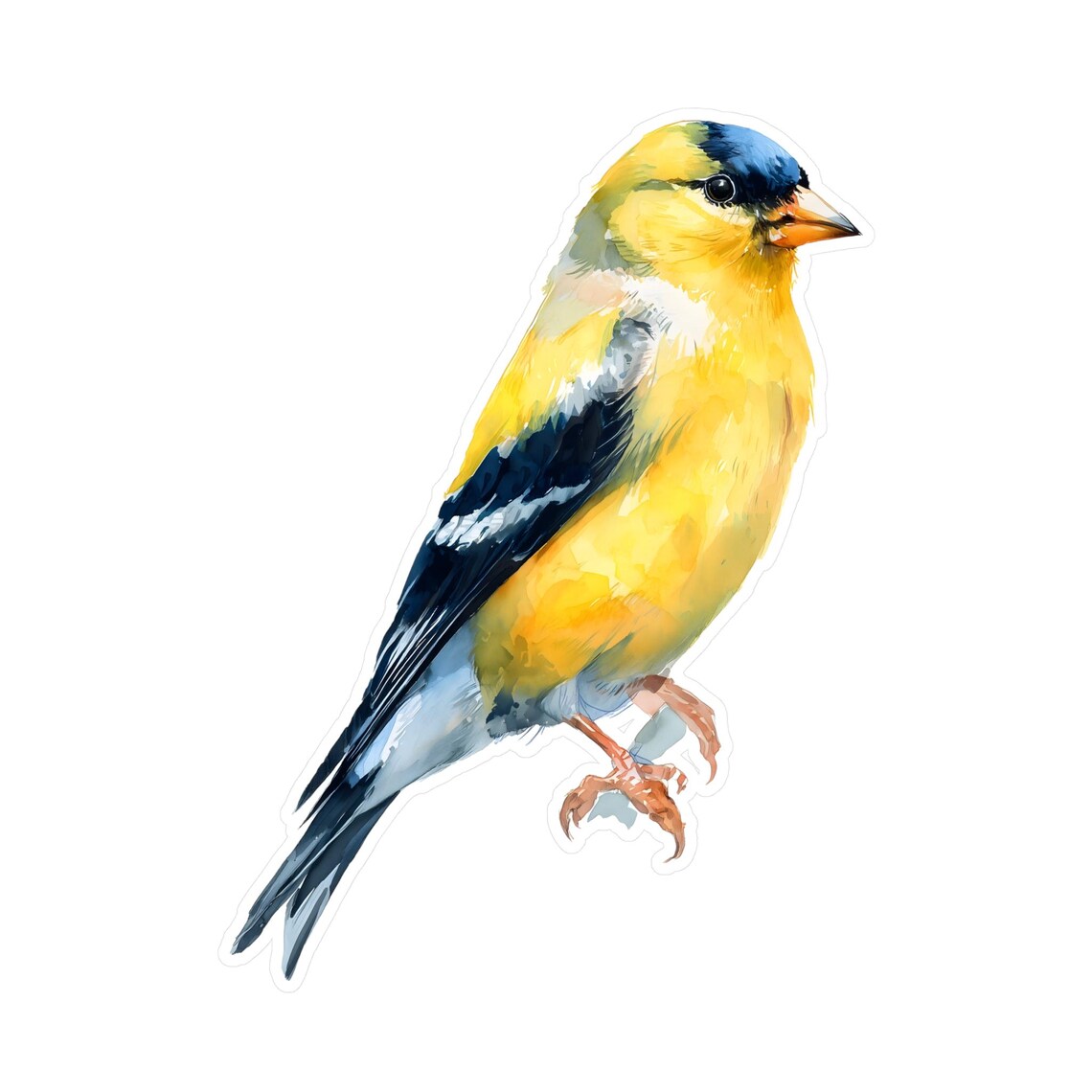 Goldfinch Decal – Waterproof Vinyl Sticker for Bird Lovers - Etsy