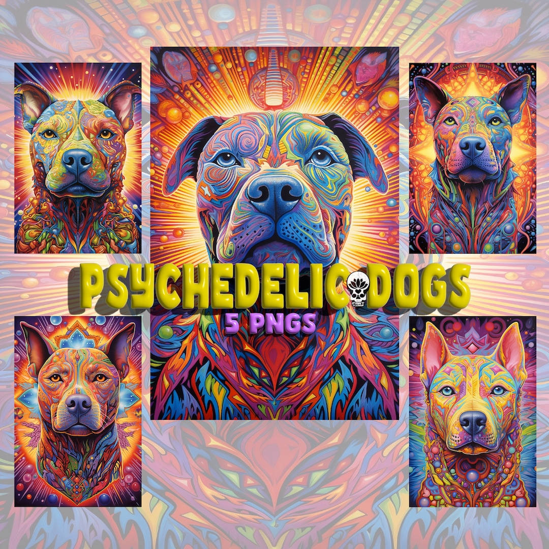 Psychedelic Dog PNG, Pitbull Digital Clipart, Pitbull Sublimation PNG ...