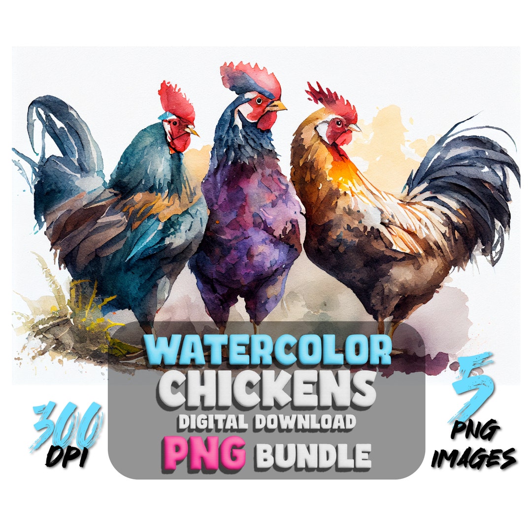 Watercolor Chicken PNG Clipart: Farm Art Graphics (digital Download) - Etsy
