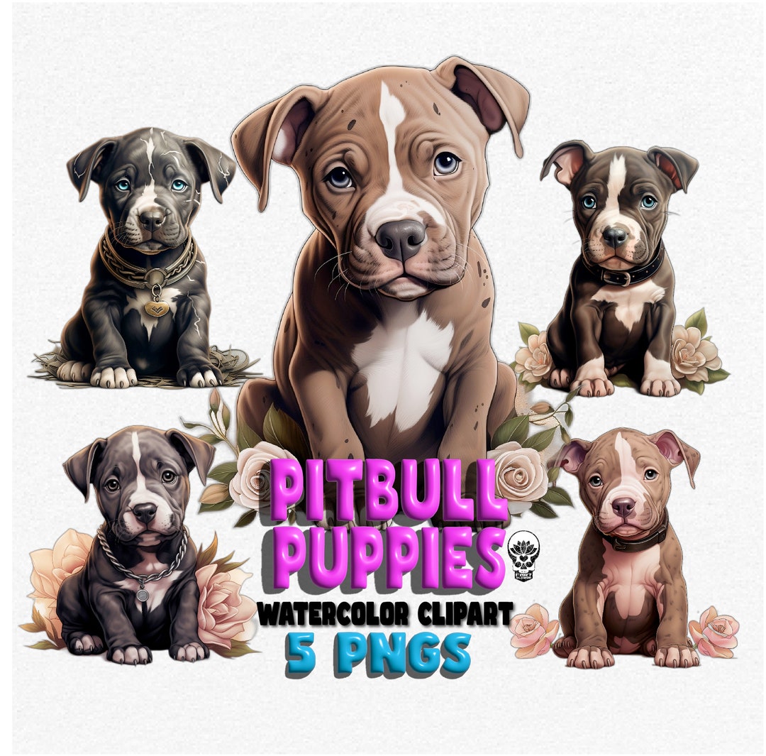Pitbull Puppy Clipart Portraits: 5 Pitbull Puppy Dog PNG Images ...