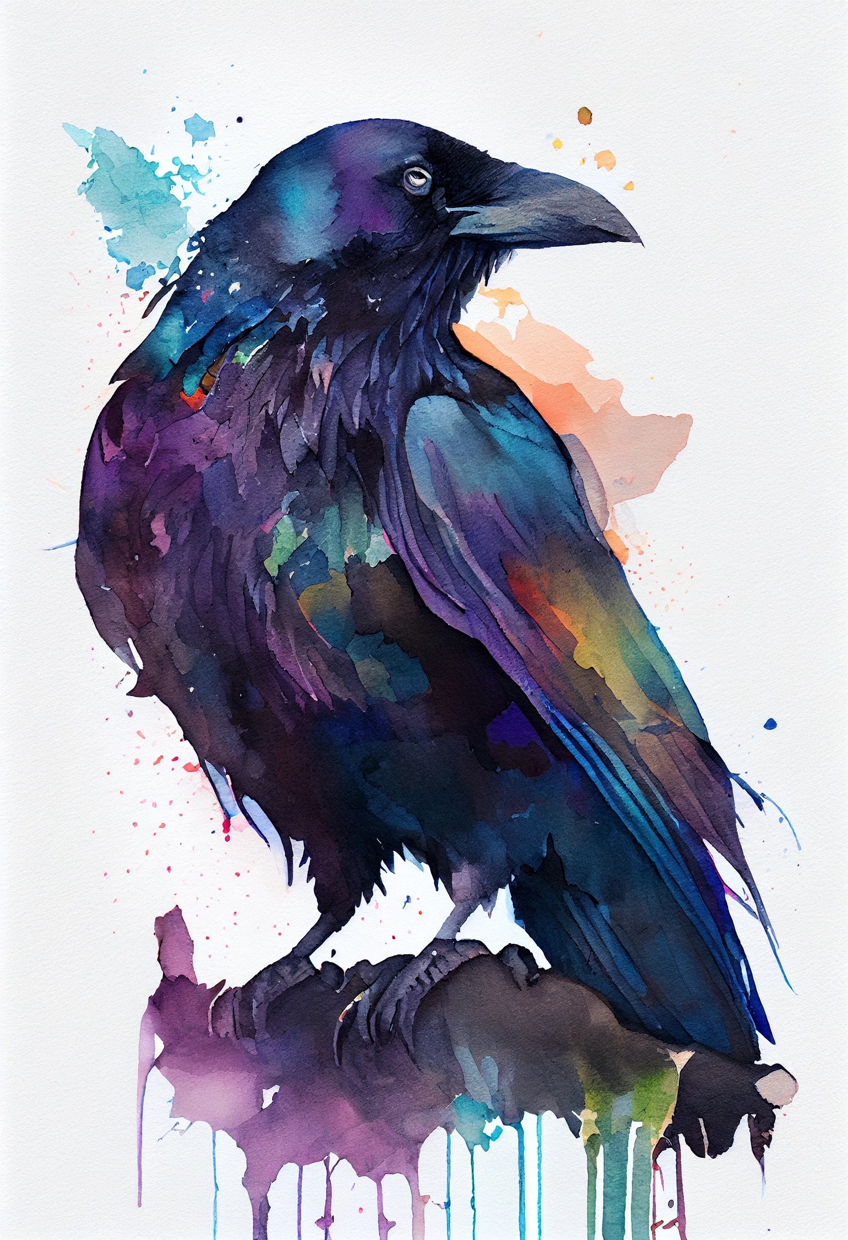 Watercolor Raven Portraits: 5 Raven Crow PNG Images Printable Wall Art ...