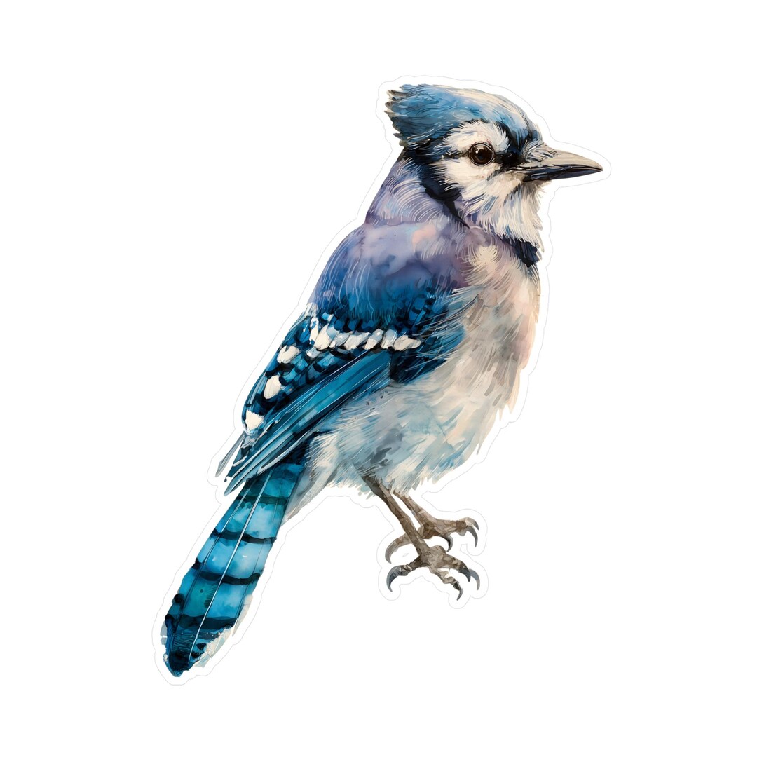 Blue Jay Decal, Nature Inspired Bird Sticker - Etsy