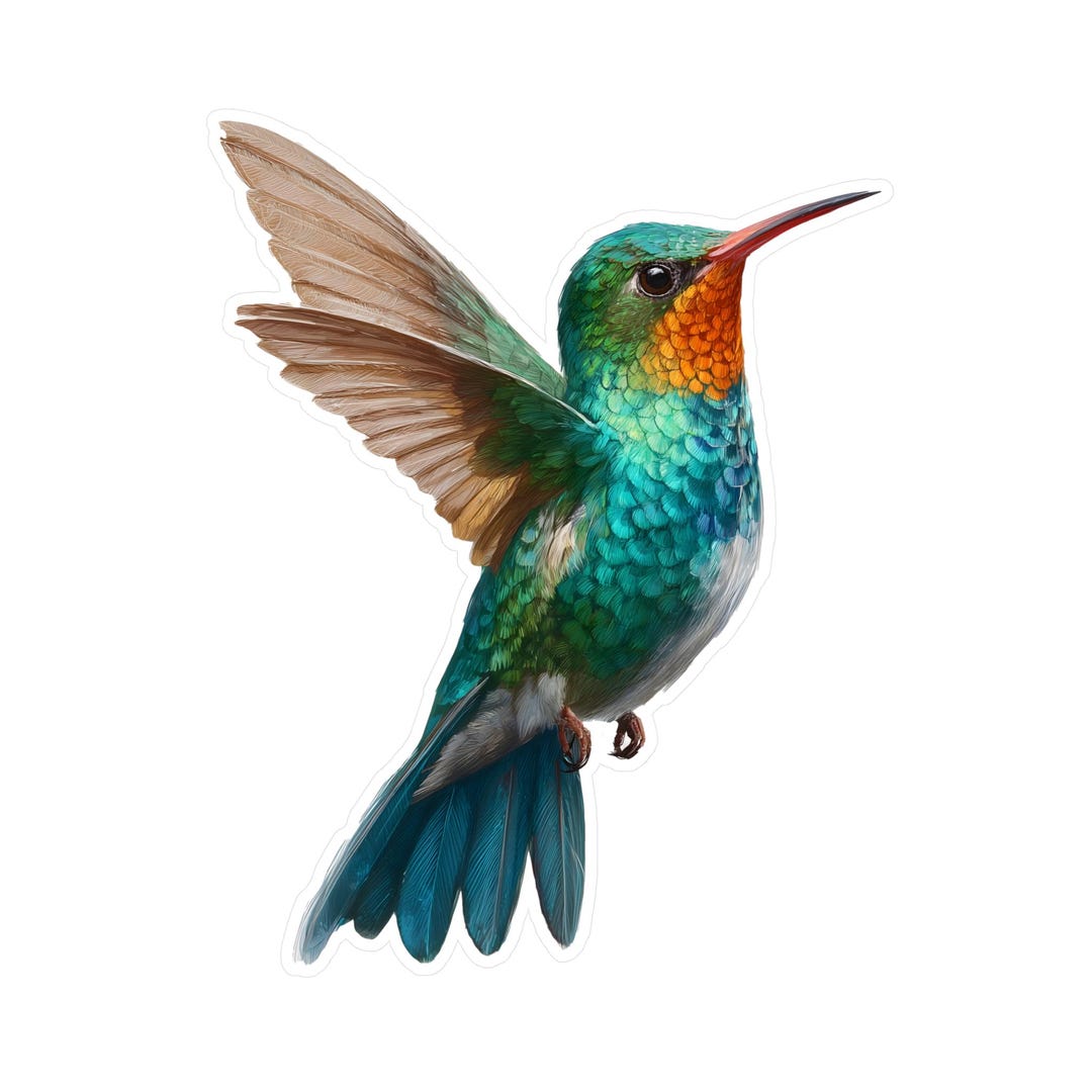 Hummingbird Vinyl Decal Sticker - Nature Lover Gift, Laptop Decal ...