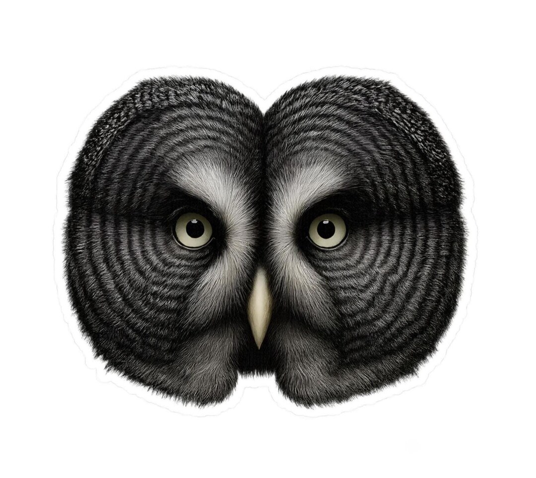 Owl Vinyl Decal: Retro Animal Sticker for Laptop, Car, Journal - Etsy