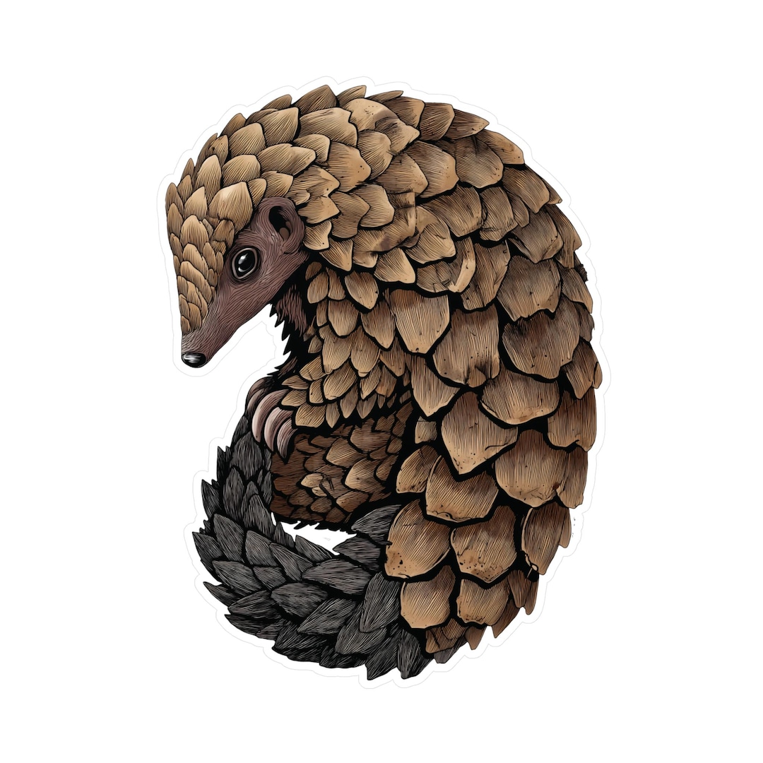 Pangolin Vinyl Decal Sticker - Adorable Animal Design, Laptop Decal ...