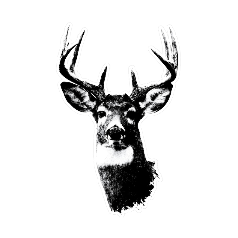 Deer Vinyl Decal: Wildlife Sticker, Laptop & Car Decor - Etsy