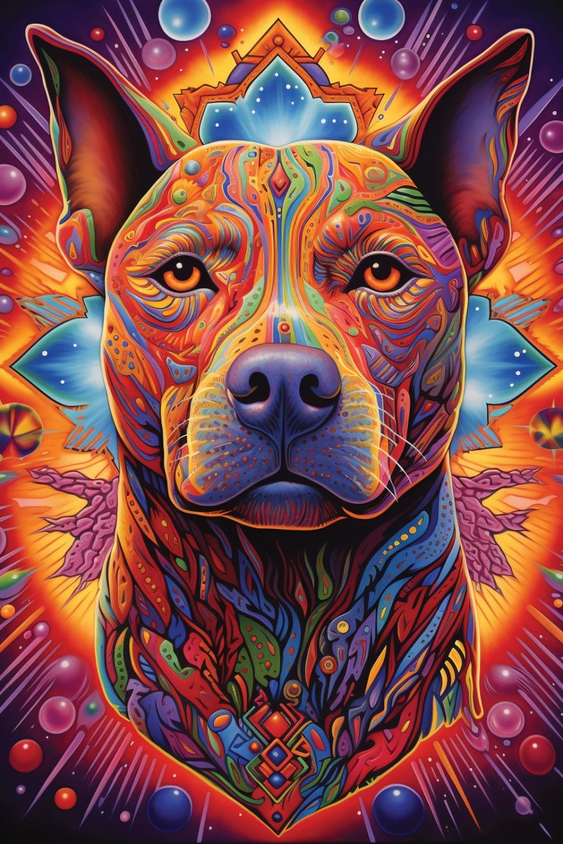 Psychedelic Dog PNG Pitbull Digital Clipart Pitbull - Etsy